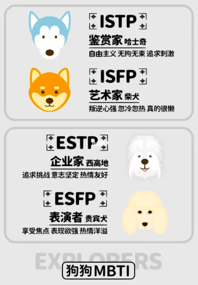 MBTI狗狗版🐶🐶🐶你是哪種狗XDDD - MBTI板 | Dcard