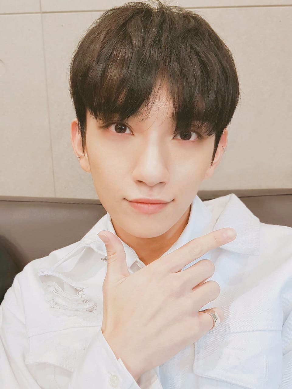 #分享 知秀推特整理 ( ‿ ღ) - SEVENTEEN板 | Dcard