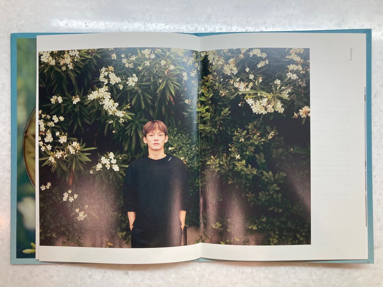 #開箱 CHEN ポラリス EXO-L-JAPAN限定盤 - EXO板 | Dcard