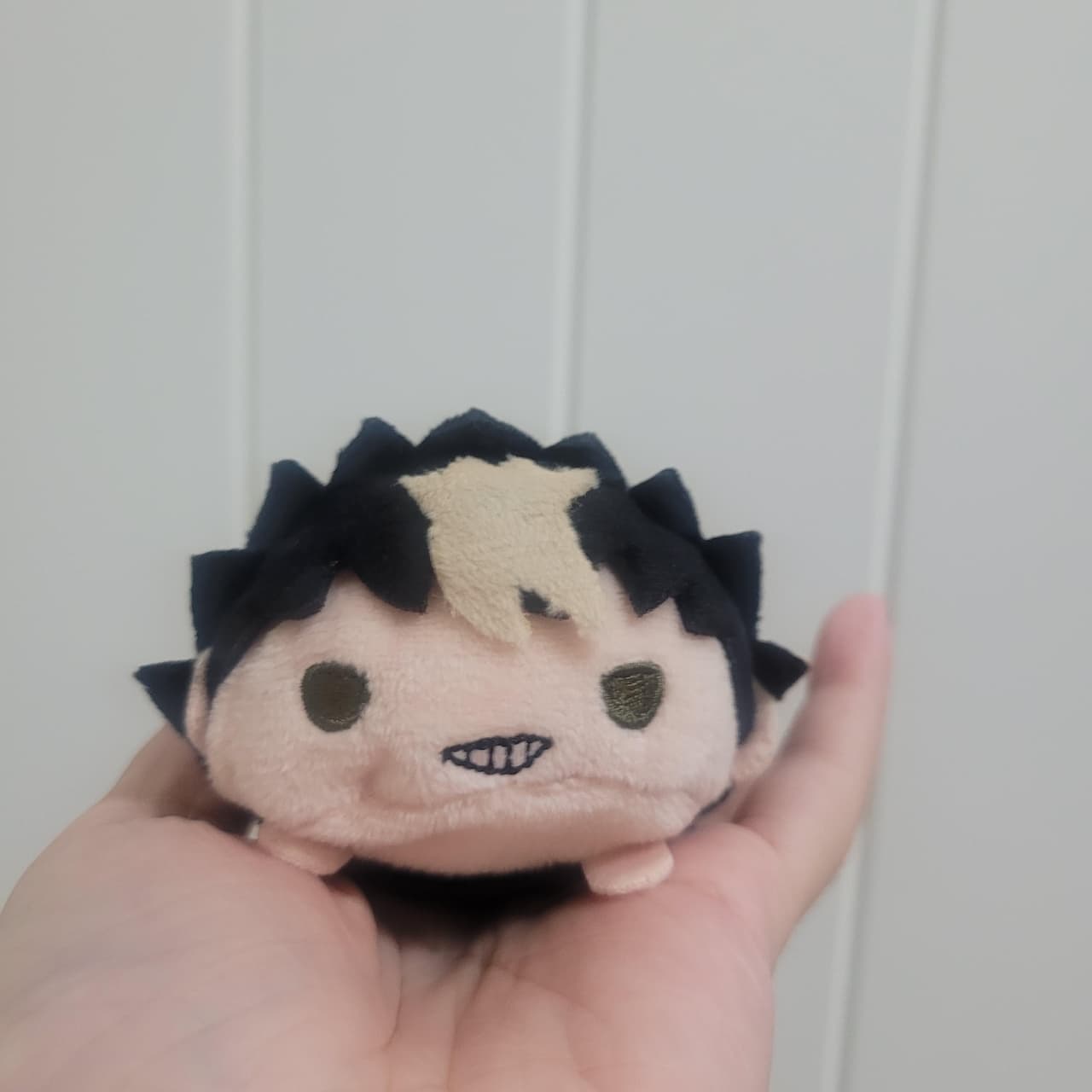 #分享 #樂淘 #排球js趴 開箱 - 動漫板 | Dcard