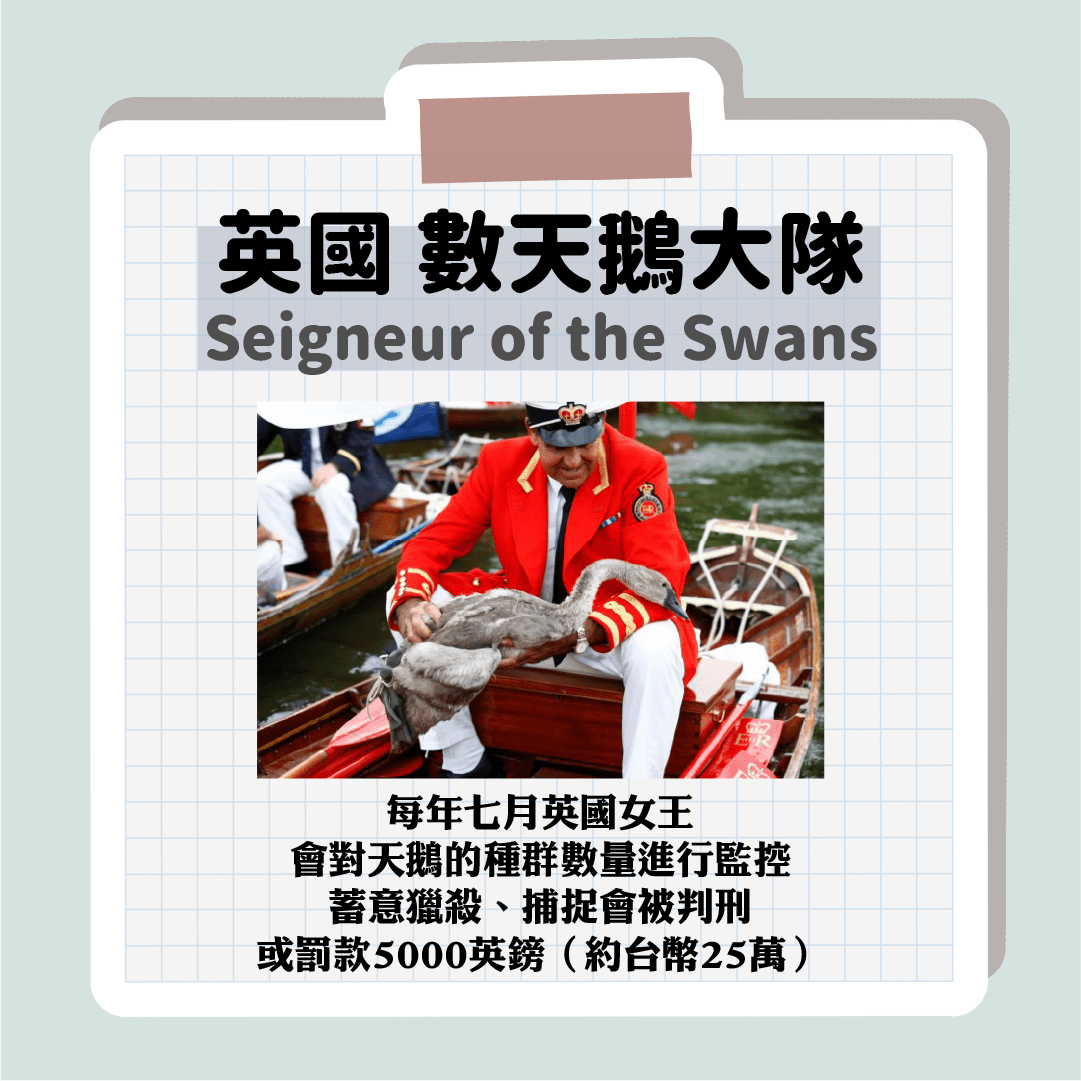 這樣也能賺錢 有趣板 Dcard