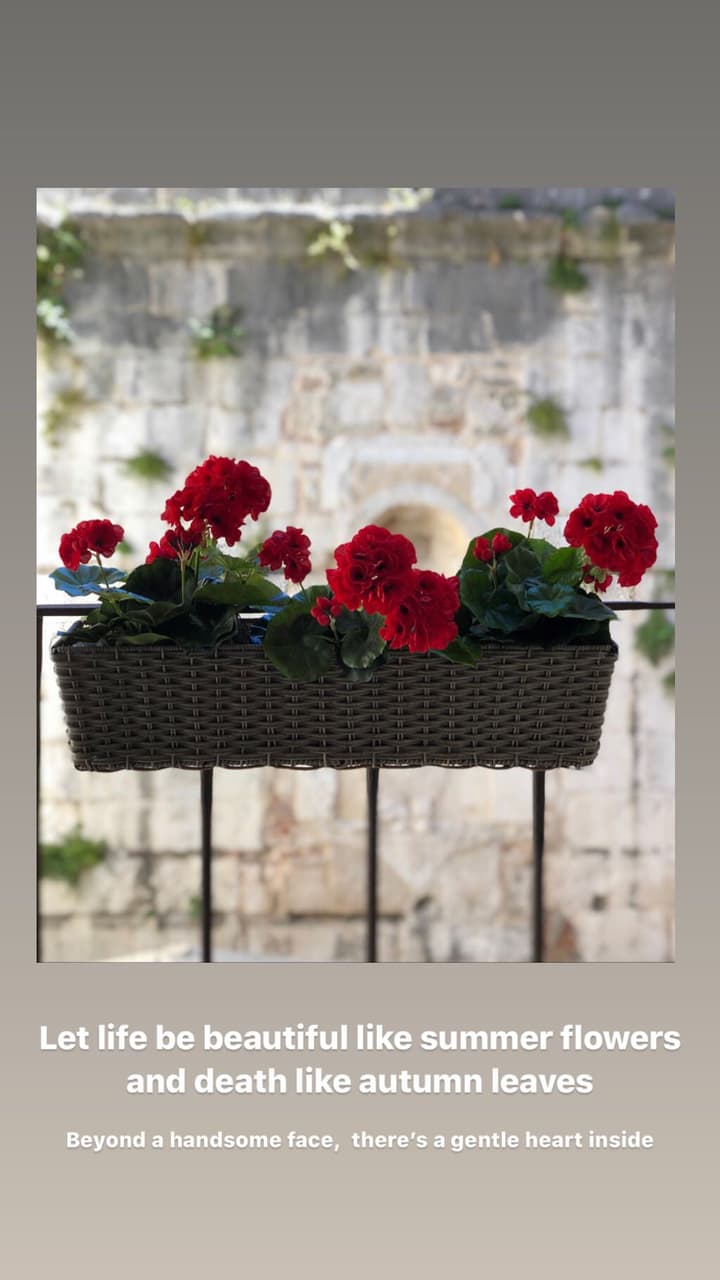 天使路過人間-Goodbye Godfrey - 追星板 | Dcard