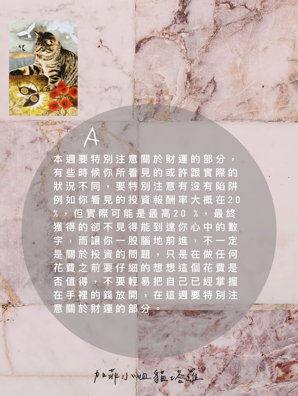 「塔羅」大眾占卜-本週特別提點 - 加菲小姐貓塔羅 (@garfield_tarot) | Dcard