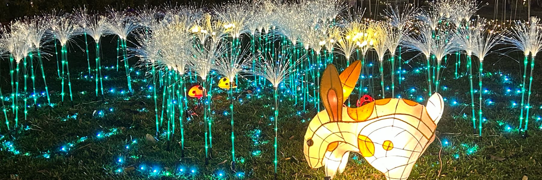 檸檬女孩 (@lemon.girl) | Dcard