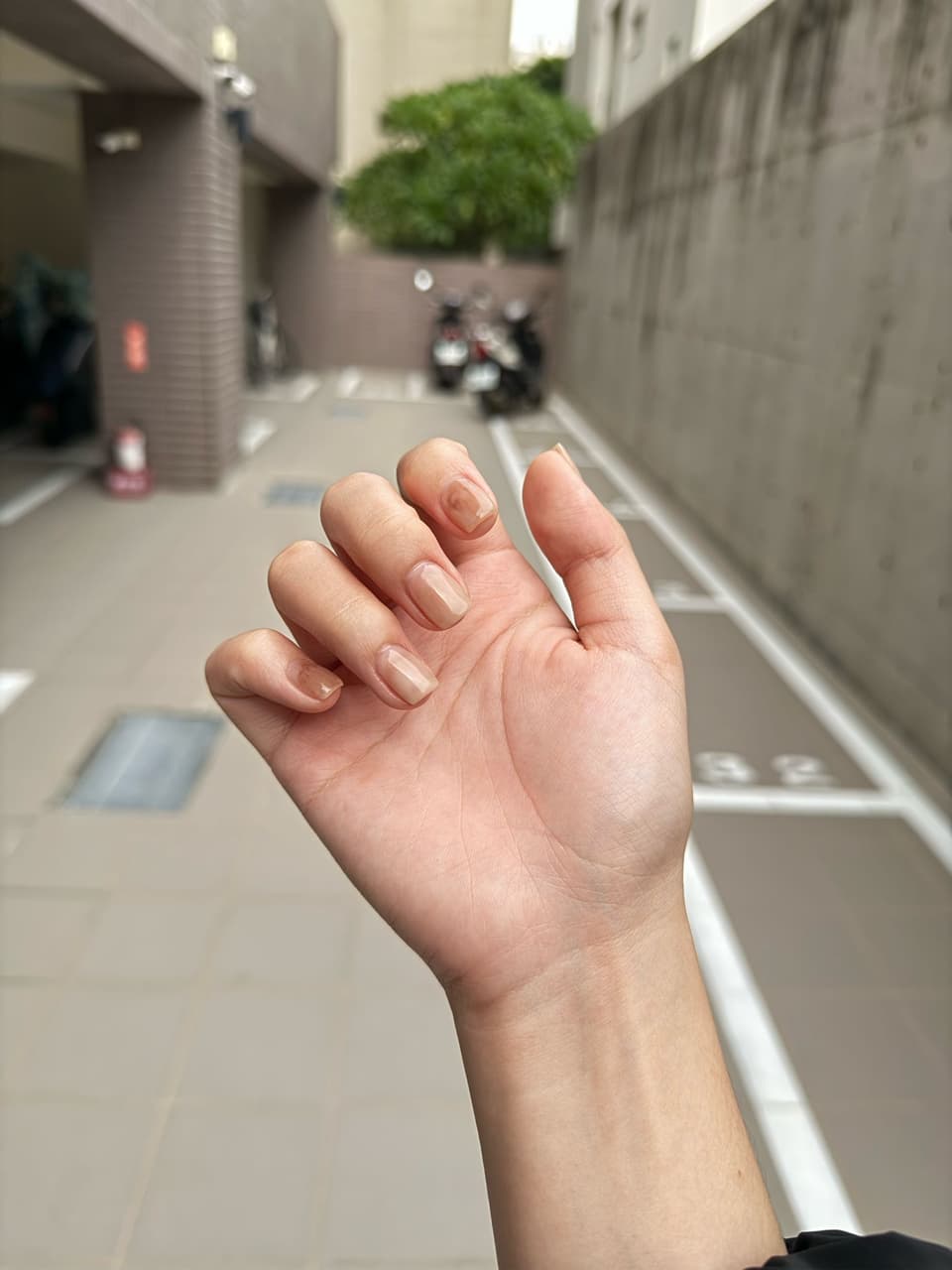 初秋美甲( ˶ˊᵕˋ)੭♡黃偏白膚色💅 - 小瀞𓂃 𓈒𓏸📨️ (@pupille) | Dcard