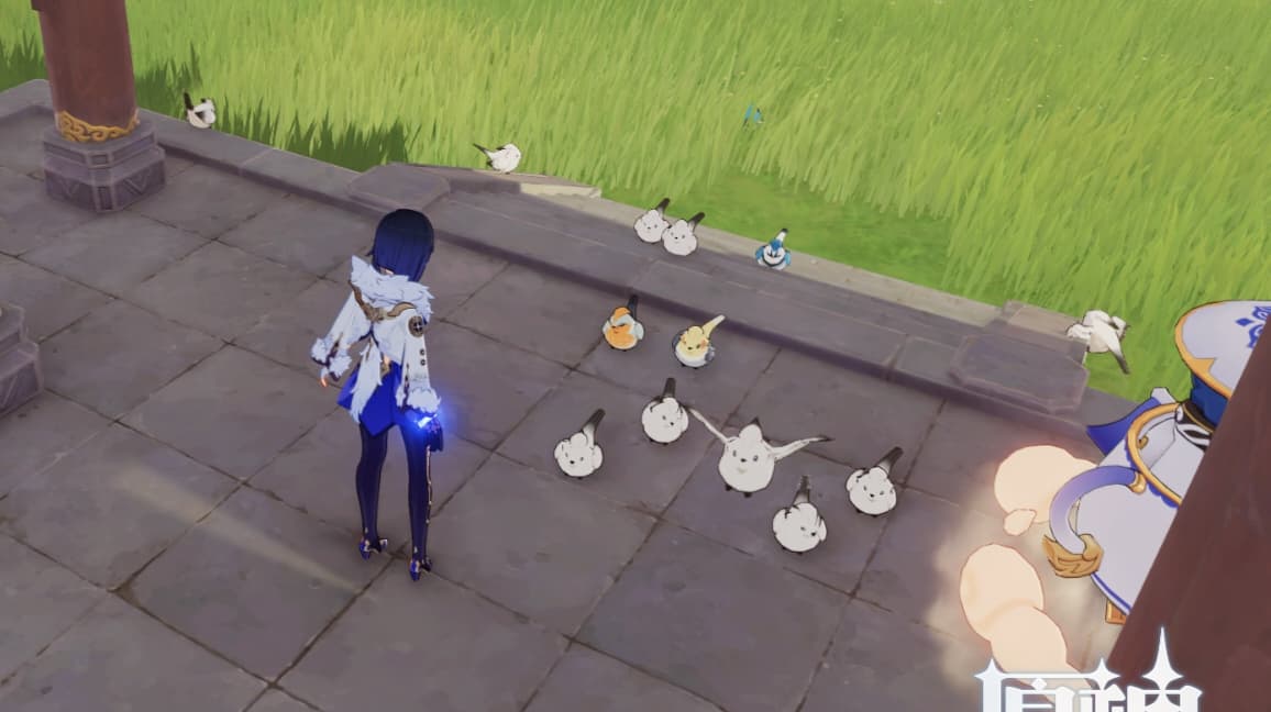 #分享 「哇，草！」相片徵集📸，這張照片也太好笑🤣 - B13 留言 | Dcard