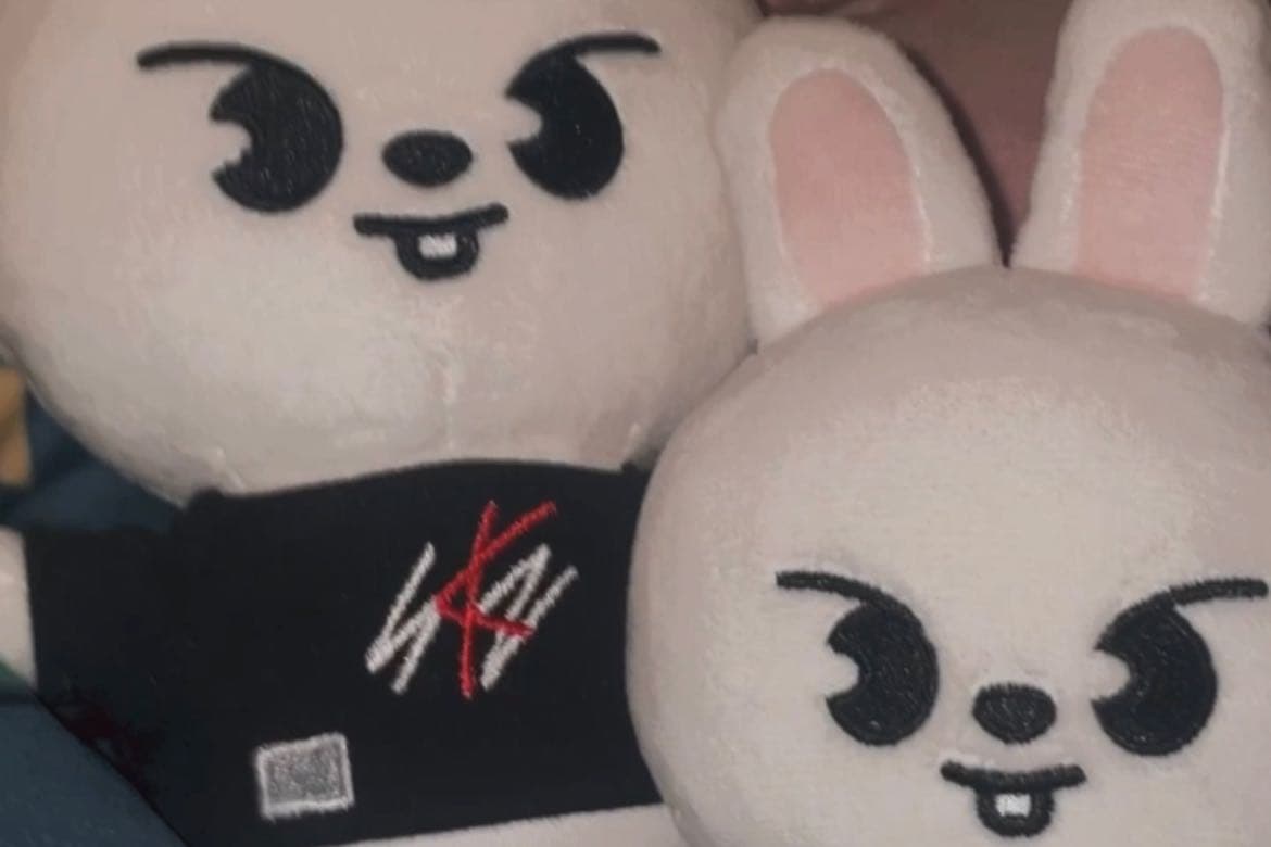 #詢問 SKZOO 什麼時候還可以買🥹 - Stray Kids板 | Dcard