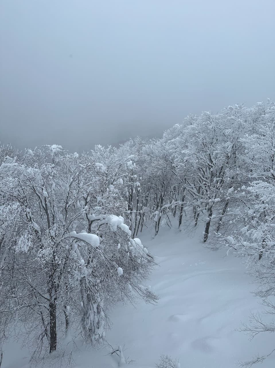 挑戰一整年不打手槍，第七天 - B96 留言 | Dcard