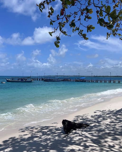 #異性 #異性#北部#宅系🐶奴才徵另個🐶奴才 - B16 留言 | Dcard