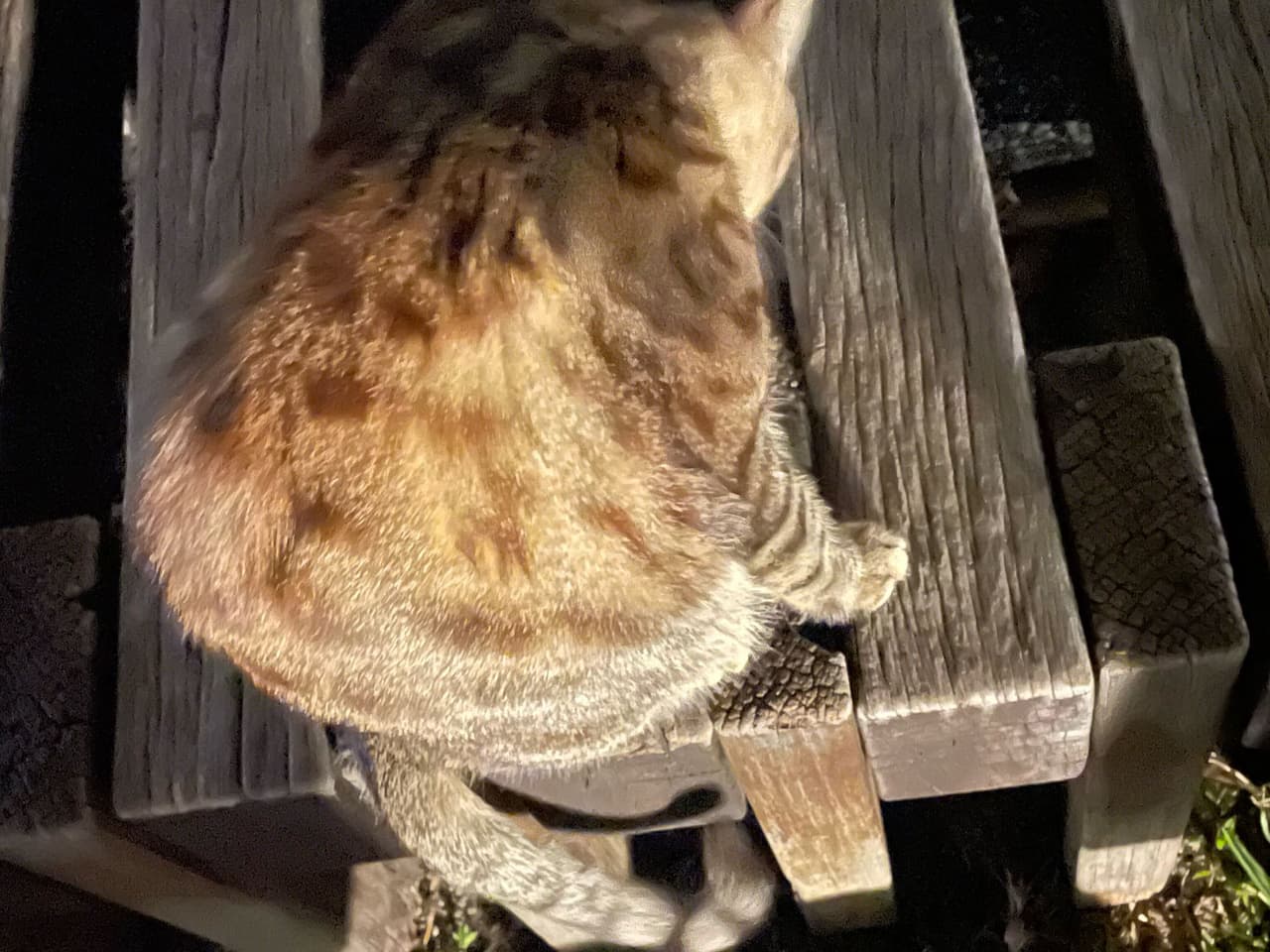 愜意的日常時光 - L📆 (@xnaliyyz_) | Dcard