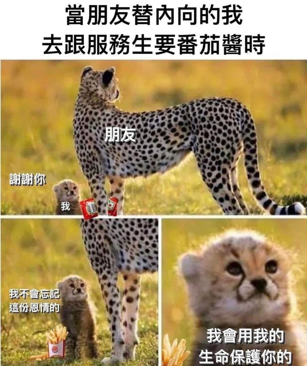 謝謝你我的好朋友😎 梗圖板 Dcard