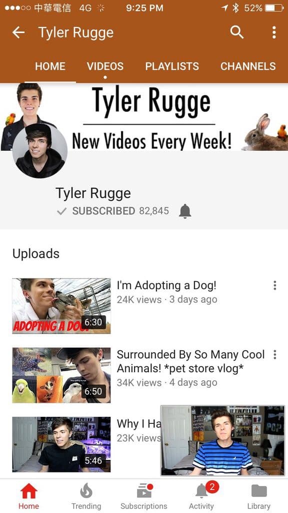 #Youtube 那些我愛的動物YouTuber - 寵物板 | Dcard