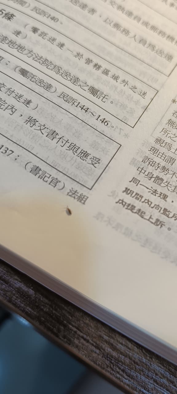請益 請問這是甚麼蟲蟲 昆蟲板 Dcard