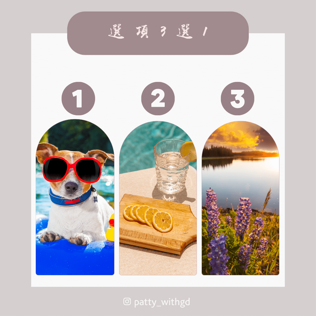 屬於我的小確幸 - 蘇成 (@partyparty) | Dcard