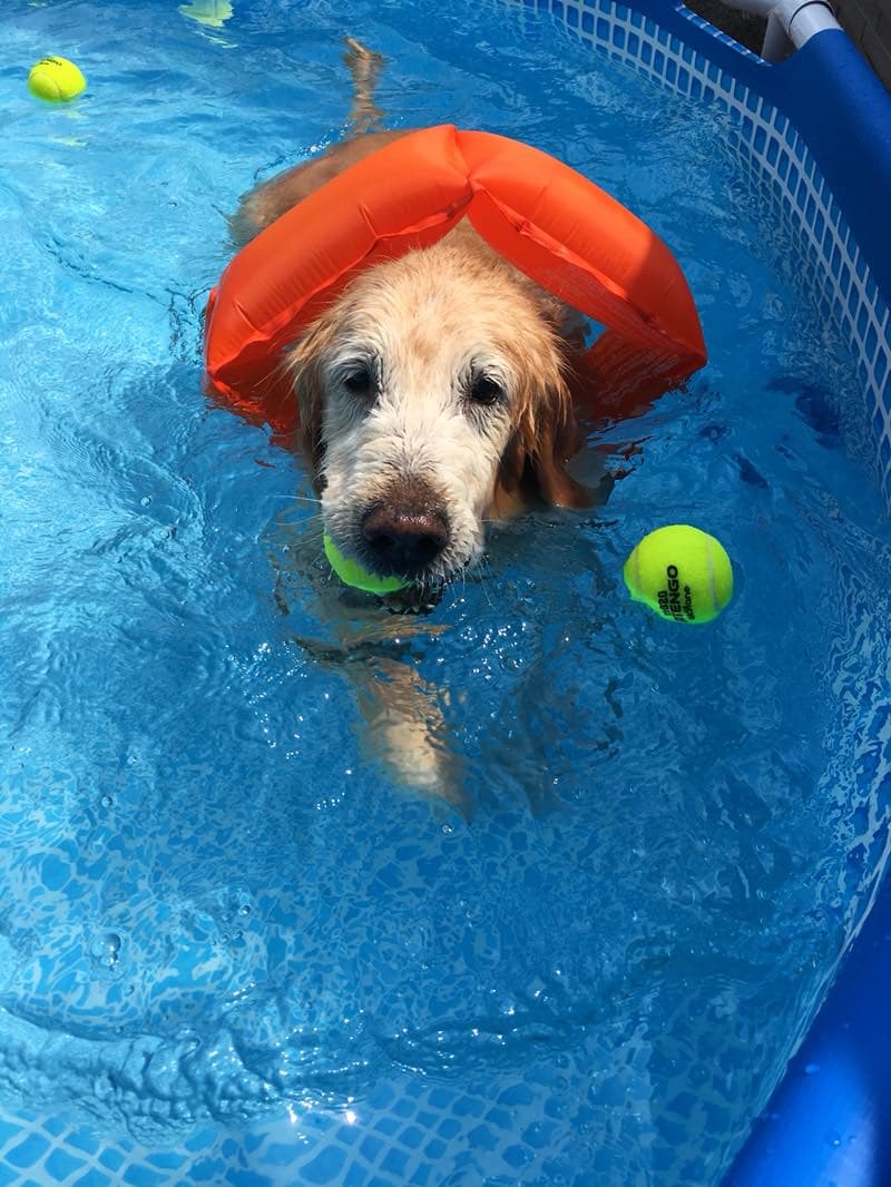 放開那個女孩... - B64 留言 | Dcard