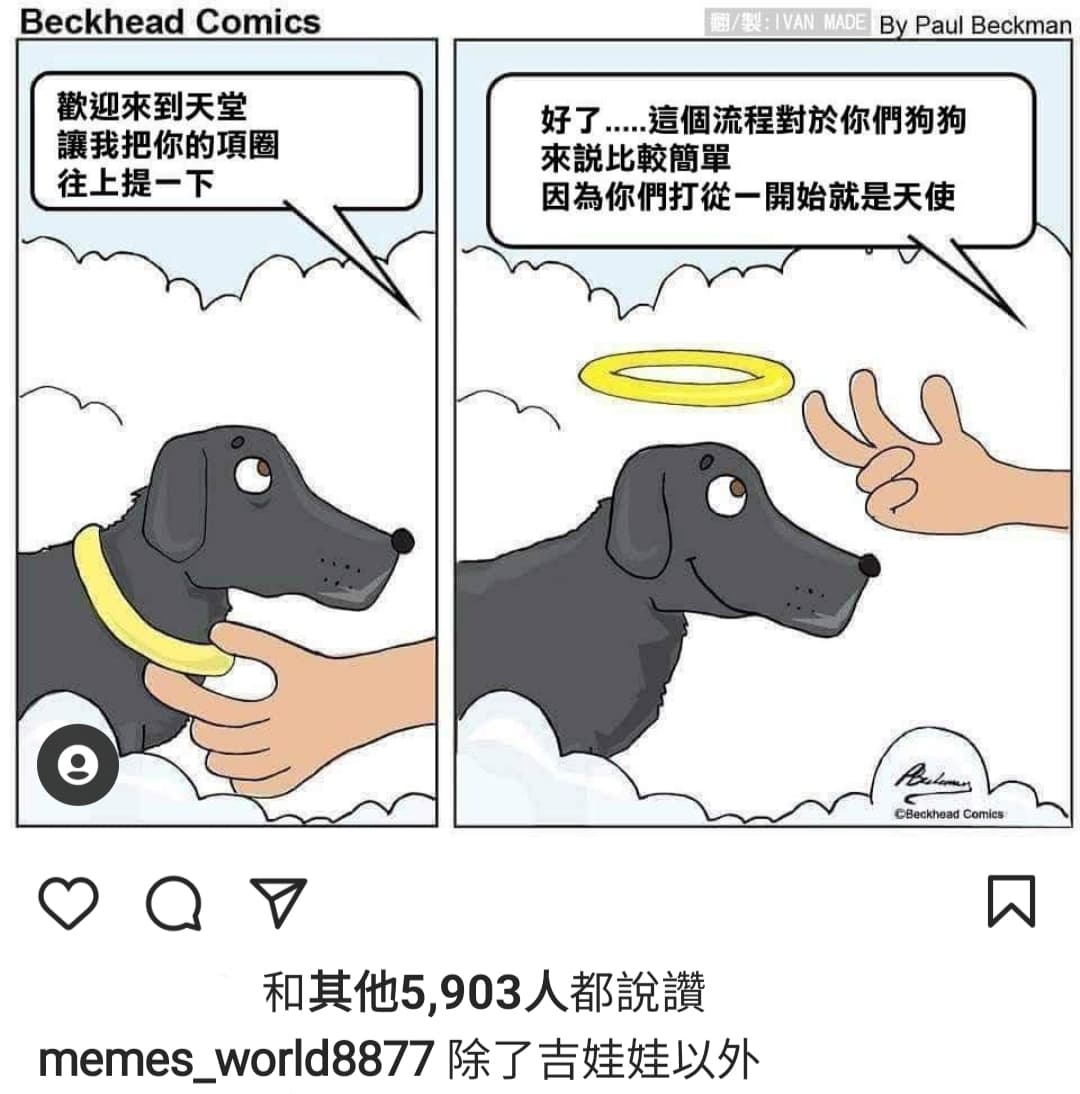 太吉掰了 梗圖板 Dcard