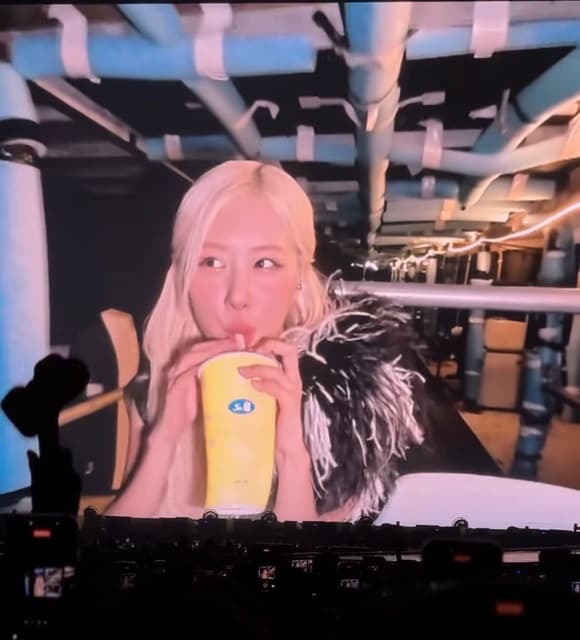 #分享 BP演唱會從頭叫到尾😍 - B19 留言 | Dcard