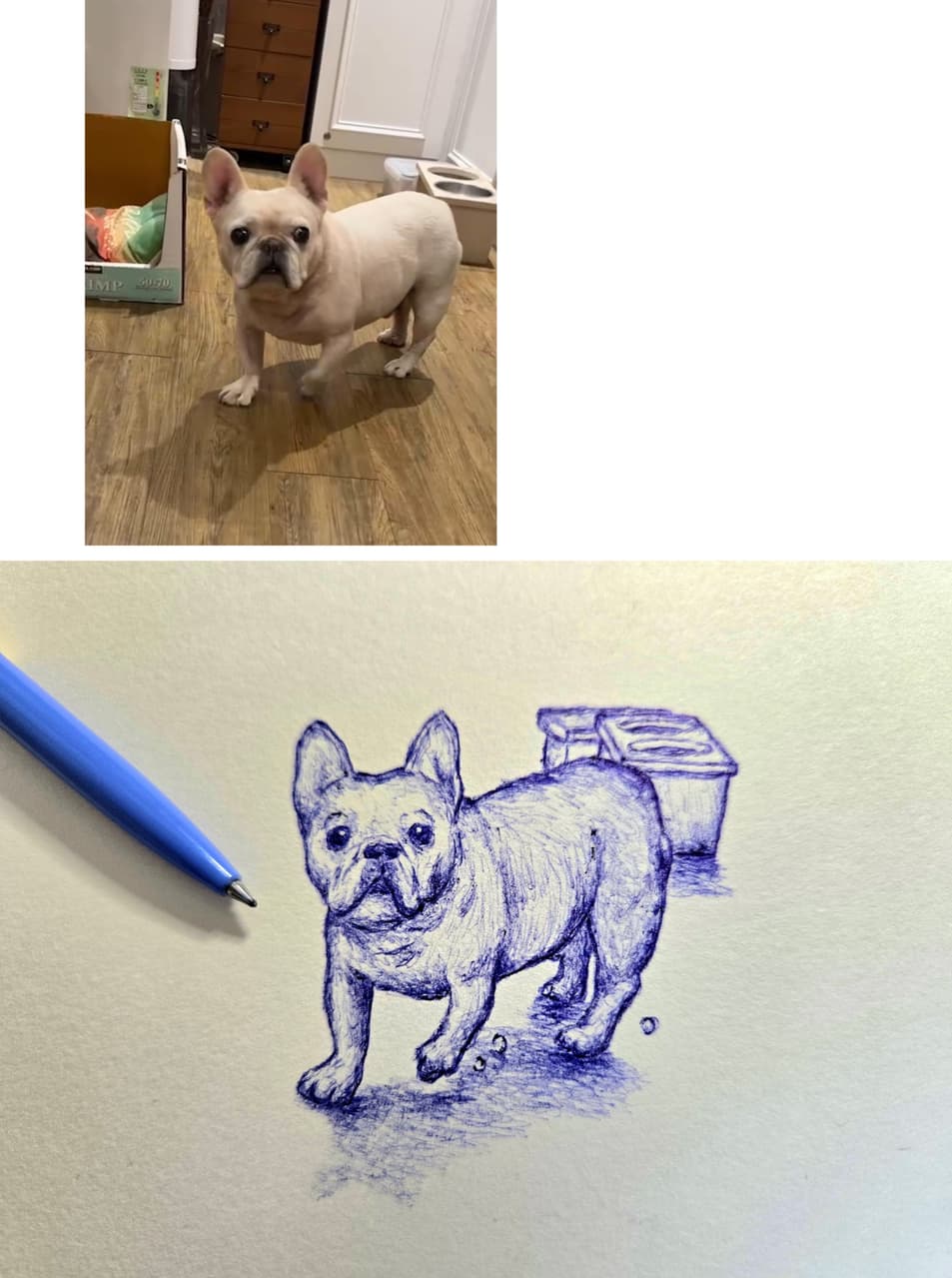 近期的10張寵物似顏繪 - 乳酪 (@s20138457) | Dcard