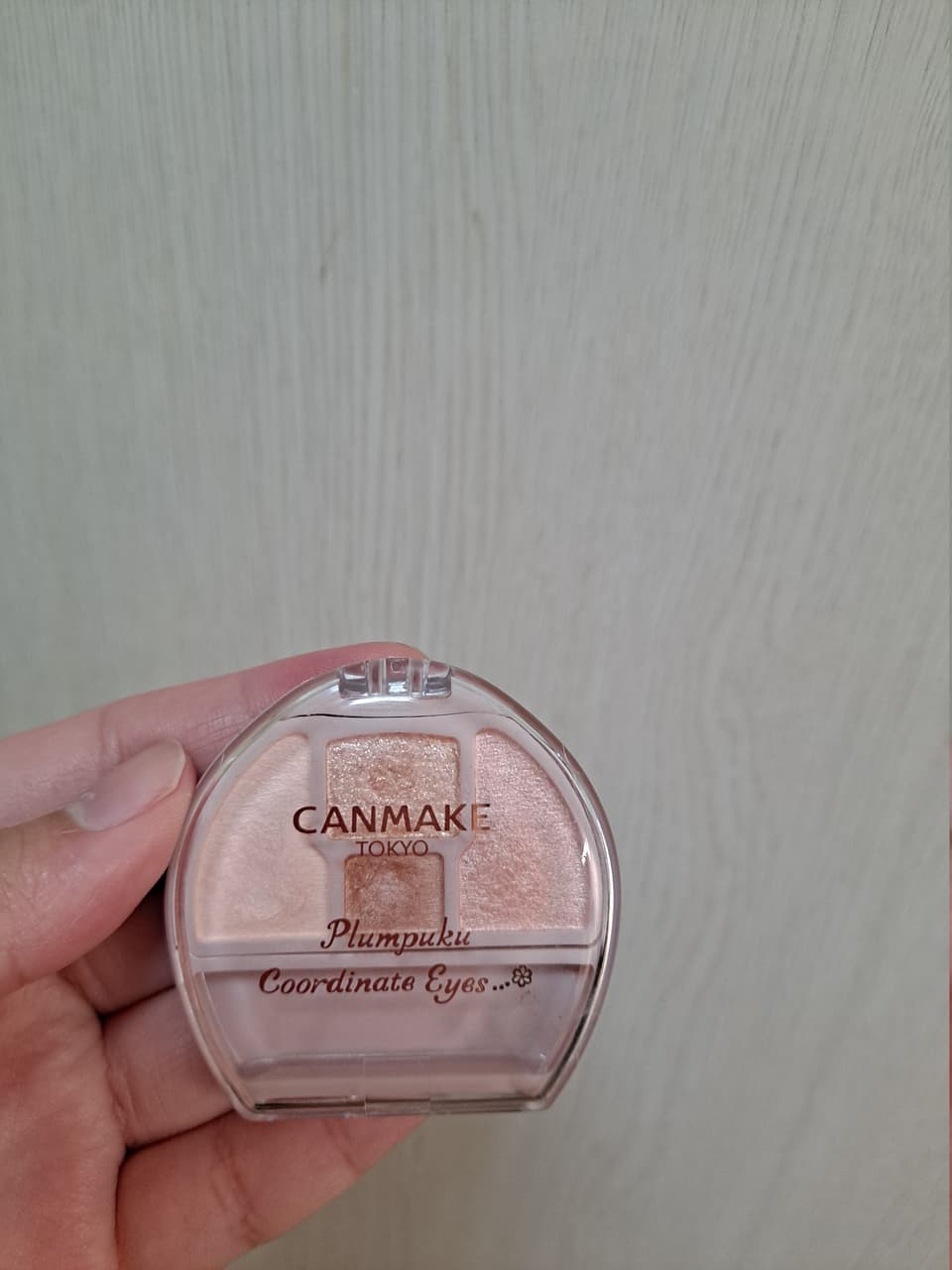 #請益 Canmake淚袋盤裡附刷具不見，有可以代替放進去的小刷具ㄇ🥲？ - 美妝板 | Dcard