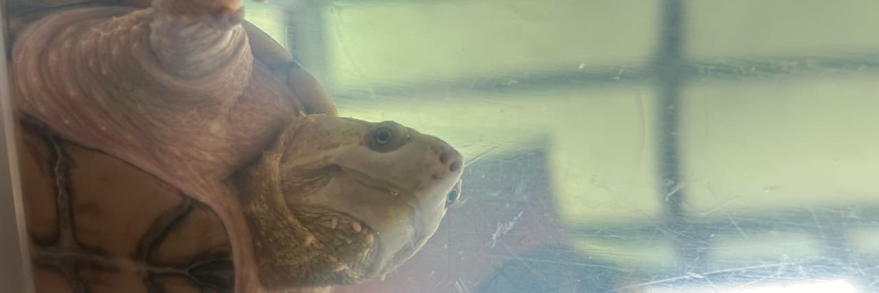 匿名 (@ouo0616) | Dcard