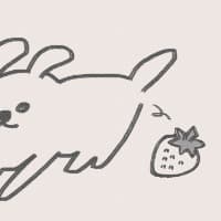 草莓狗醬 (@leebi___) | Dcard