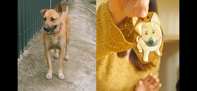 已經大到可以擁有一篇介紹文的好味宇宙 - B372 留言 | Dcard