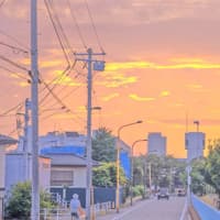 NN (@gua_nn) 的公開頁面 | Dcard