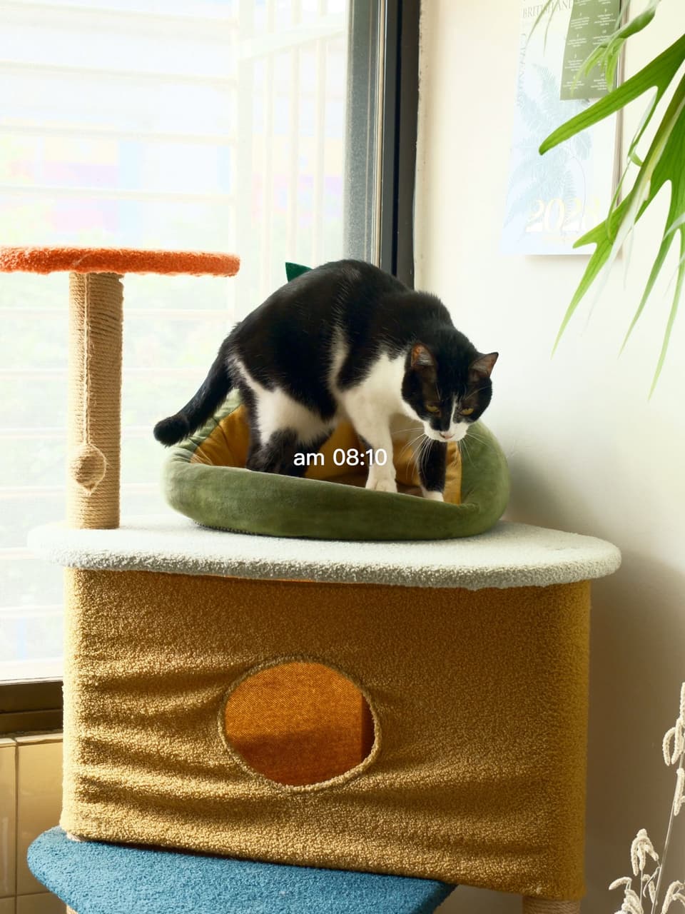 起床日記 DAY 008 - 吉君 (@fajichen) | Dcard