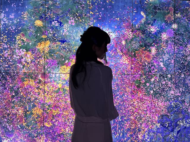 開箱( )暴雷(⭕️)麻布台之丘teamLab Borderless - 日本旅遊板 | Dcard