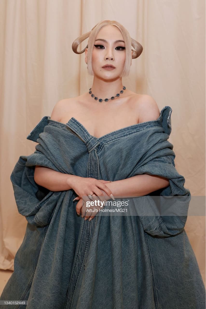 CL出席Met Gala 2021 - 追星板 | Dcard
