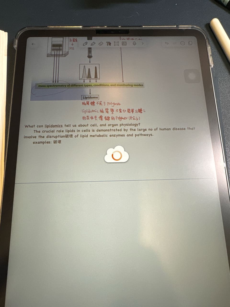 #iPad Notability - Apple板 | Dcard