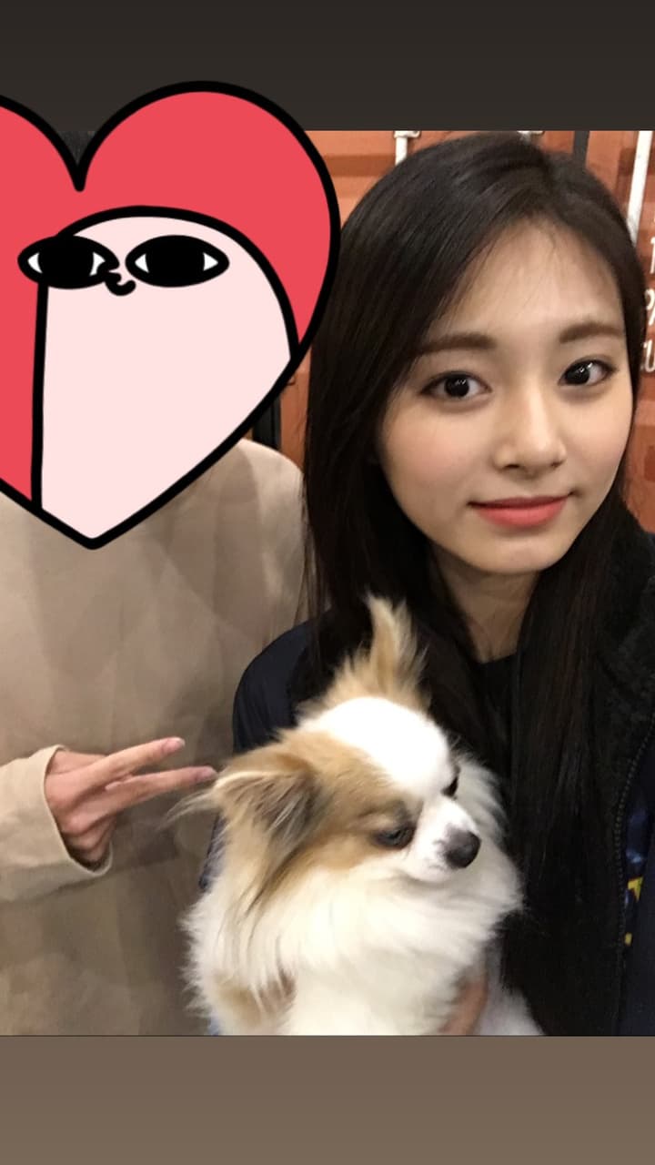 終於見到子瑜媽媽還有酷吉啦 ️ ️ ️ - B90 留言 | Dcard