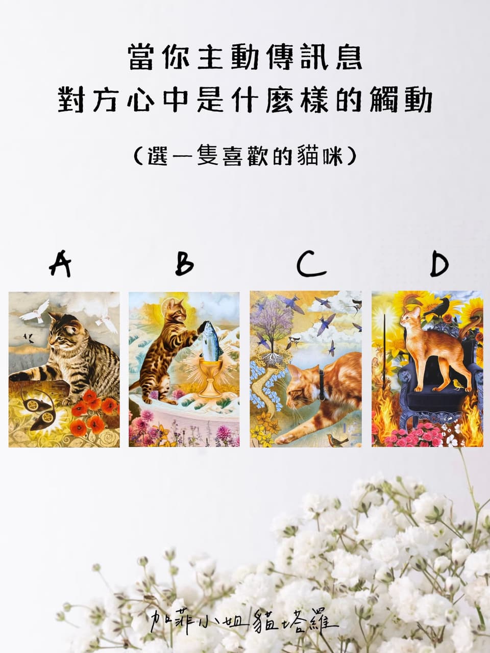「塔羅」大眾占卜-當你主動傳訊息對方心中的觸動是什麼 - 加菲小姐貓塔羅 (@garfield_tarot) | Dcard