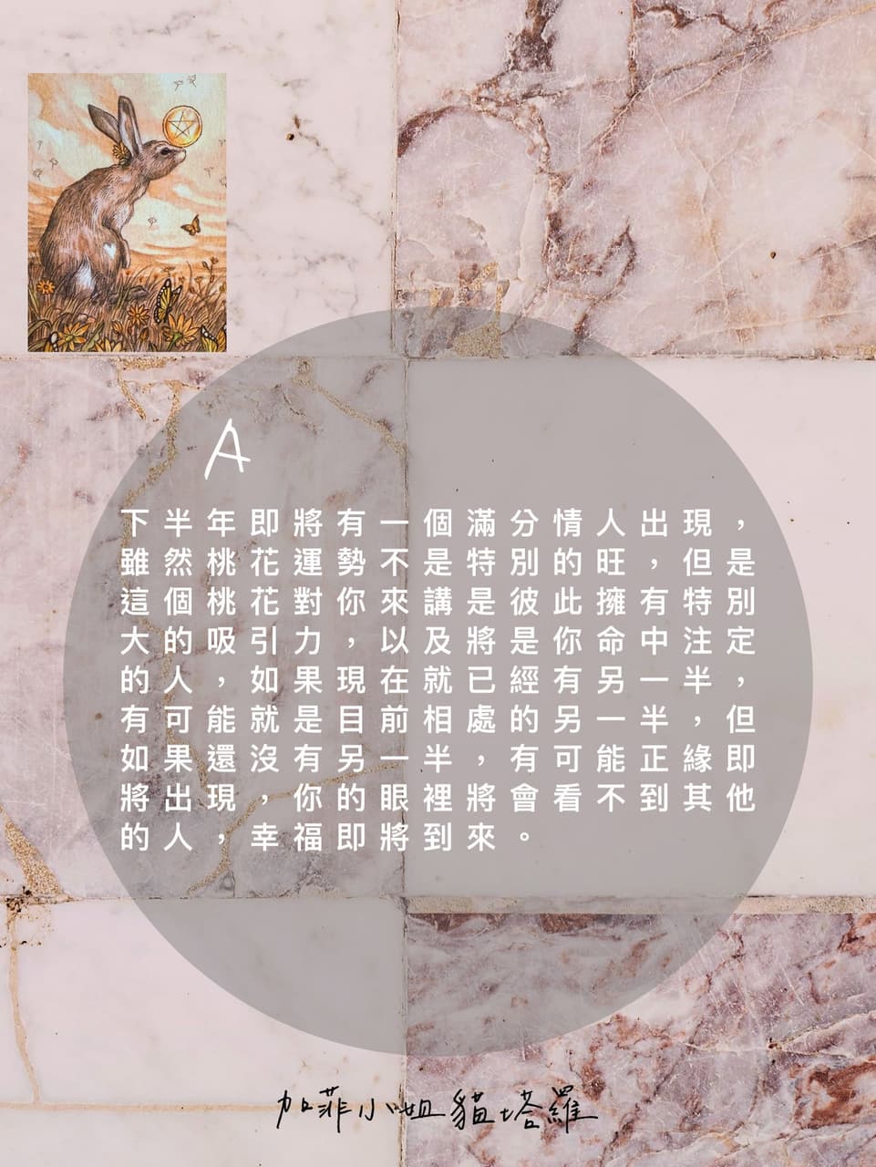 「塔羅」大眾占卜-下半年桃花運勢🌸 - 加菲小姐貓塔羅 (@garfield_tarot) | Dcard