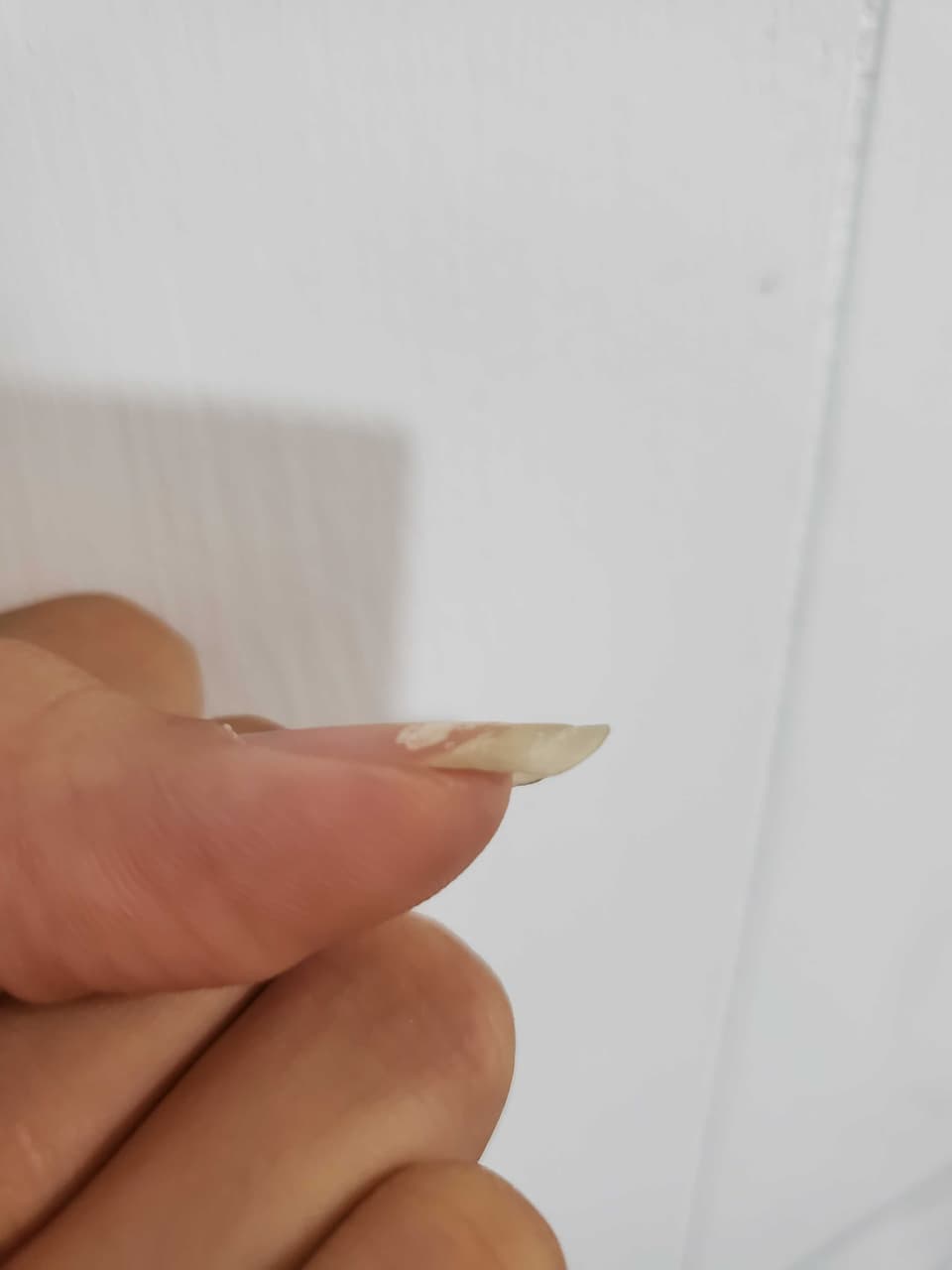 黑特 問題黑特 掉甲發霉可以怎麼做？ 美甲板 Dcard