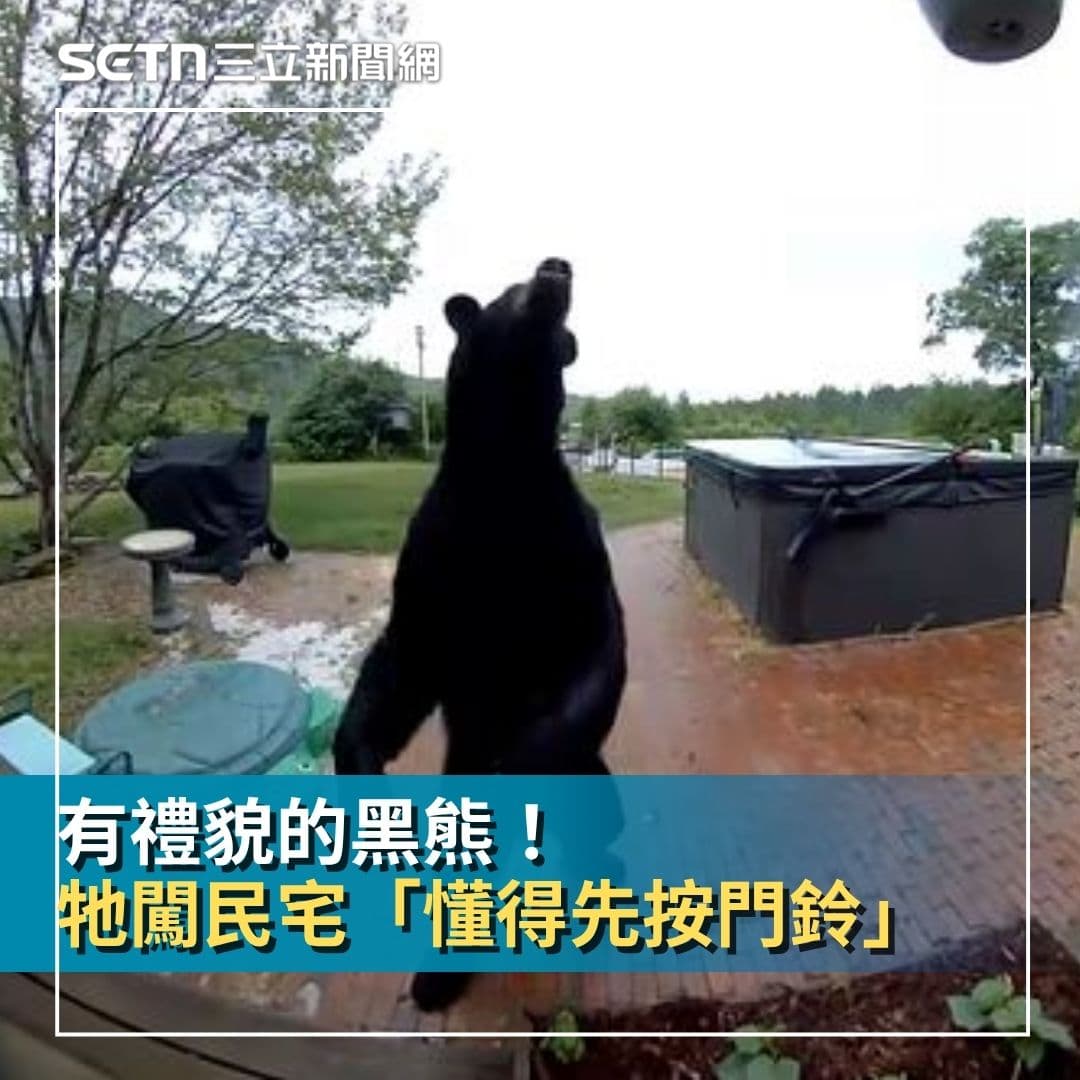有禮貌的黑熊！牠闖民宅找食物「還懂得先按門鈴」 - SETN三立新聞網 (@setn54) | Dcard