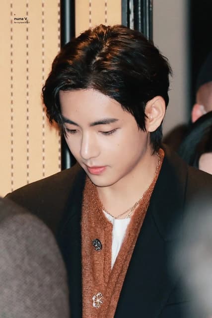 #分享 #theqoo熱門 出席《瑞鎭家》製作發表會錄製的今日的防彈少年團V - BTS板 | Dcard