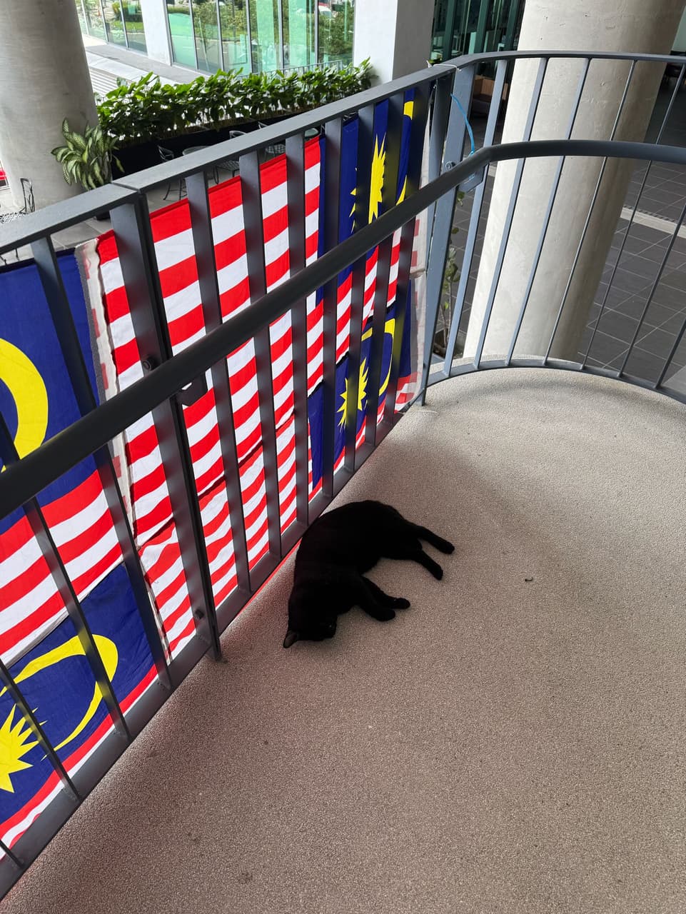 这位同学睡了一整天 - APU板 | Dcard