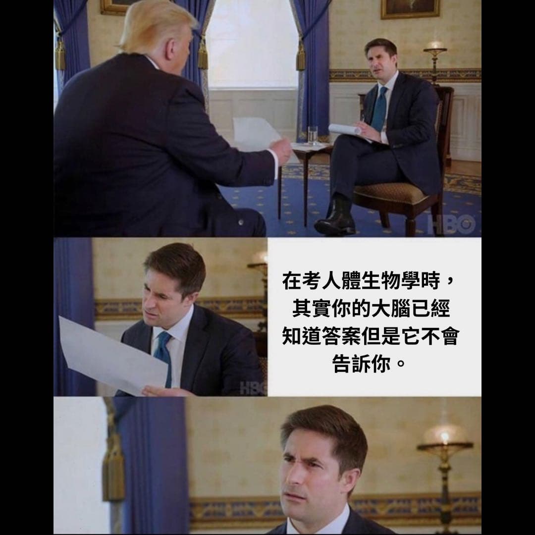 翻譯 大腦背叛了我 梗圖板 Dcard