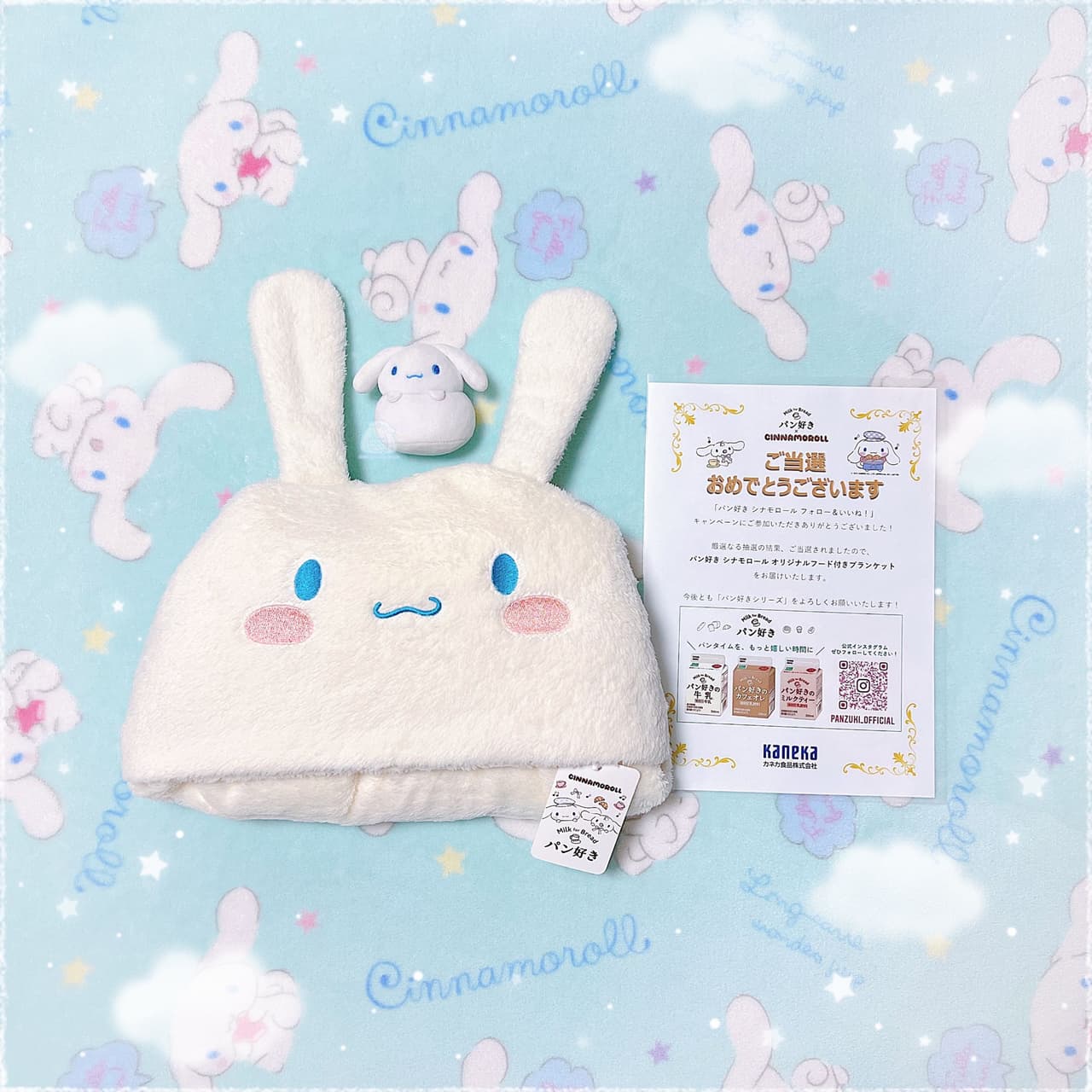 Cinnamoroll 色々 - 赤城の白い彗星 (@cinnamon) | Dcard