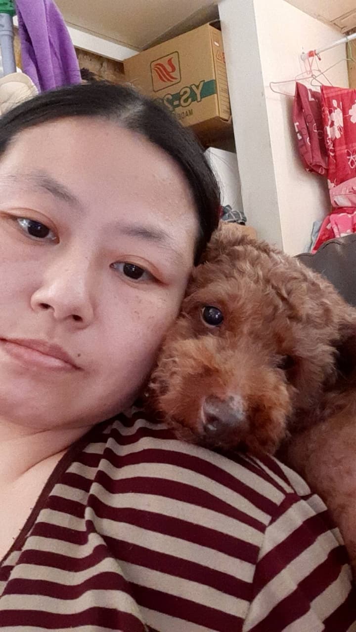 #母親節 媽媽養了吐司狗狗🍞🐕 - 吐司阿泥🍞🐑 (@vamcie) | Dcard