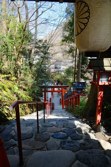 #國外遊記 #旅記 27天長途旅行 🇯🇵大阪、奈良、名古屋、富士山、東京 Day5 - 旅遊板 | Dcard