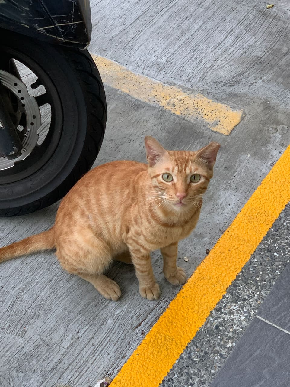 請益 有圖慎入 內衣勒痕 - 女孩板 | Dcard