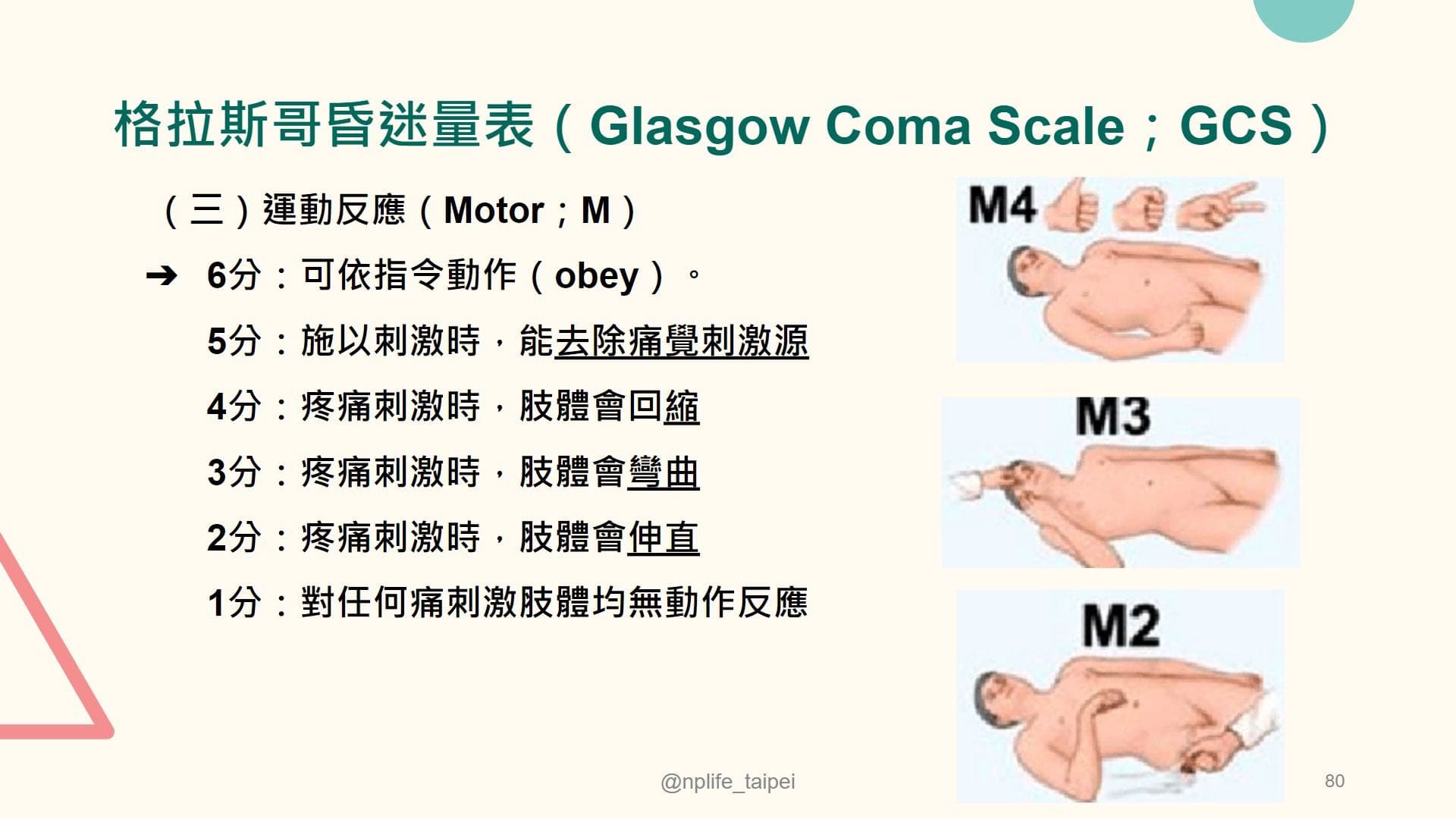 #心得分享 昏迷指數評估（GCS scale） - 護理板 | Dcard