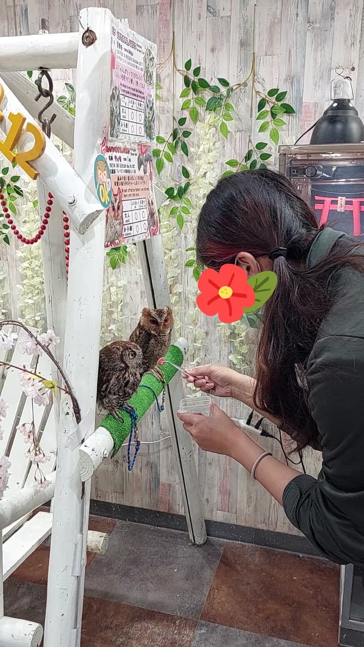 一個人日本40天自由行(三)-東京篇Day5-8 - 日本旅遊板 | Dcard