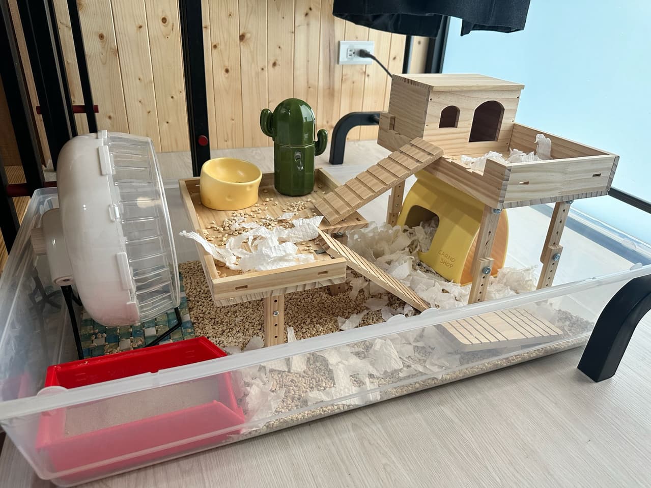 黃金鼠籠子大小 - 倉鼠板 | Dcard