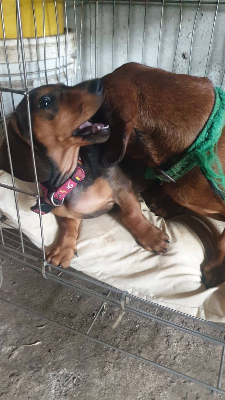 神奇魔力 - B22 留言 | Dcard