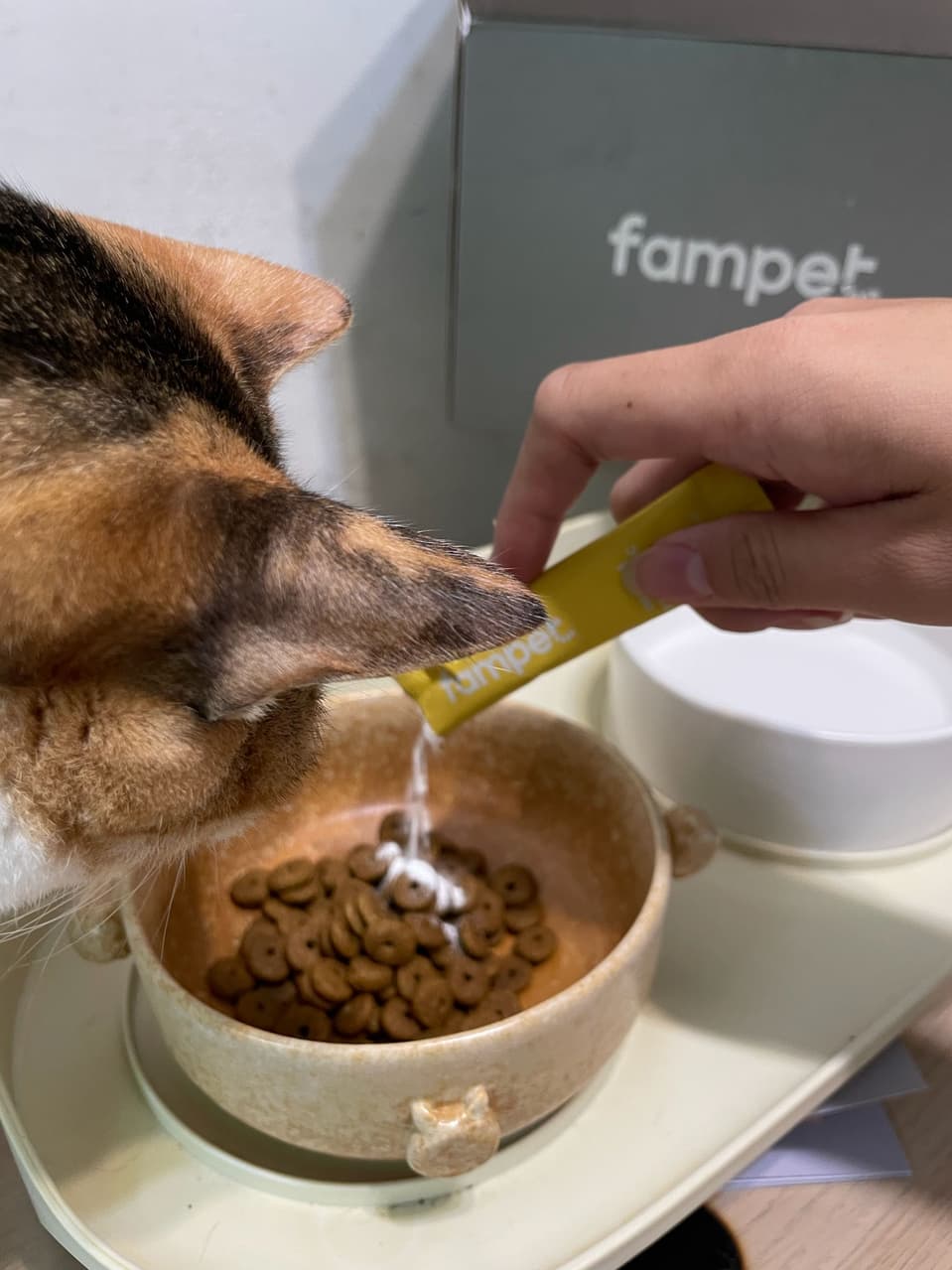 貓貓益生菌 - 寵物板 | Dcard