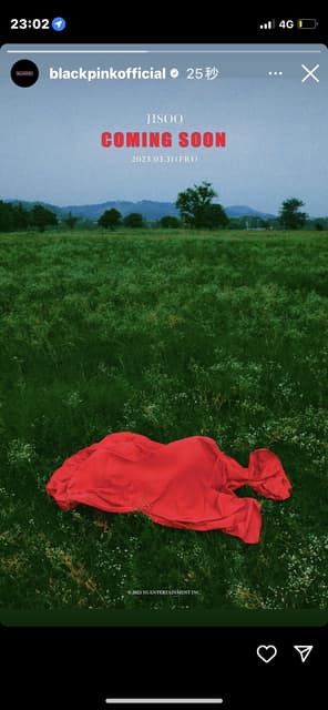 「Jisoo Solo」的搜尋結果 | Dcard