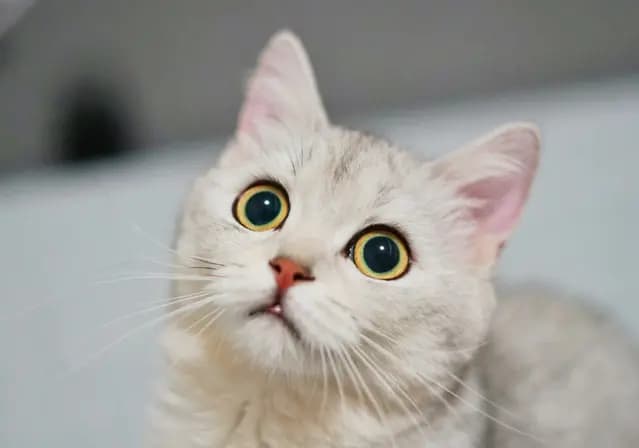 斑點分辨 - 喜歡簡單保養的商品開發 (@davin1982) | Dcard